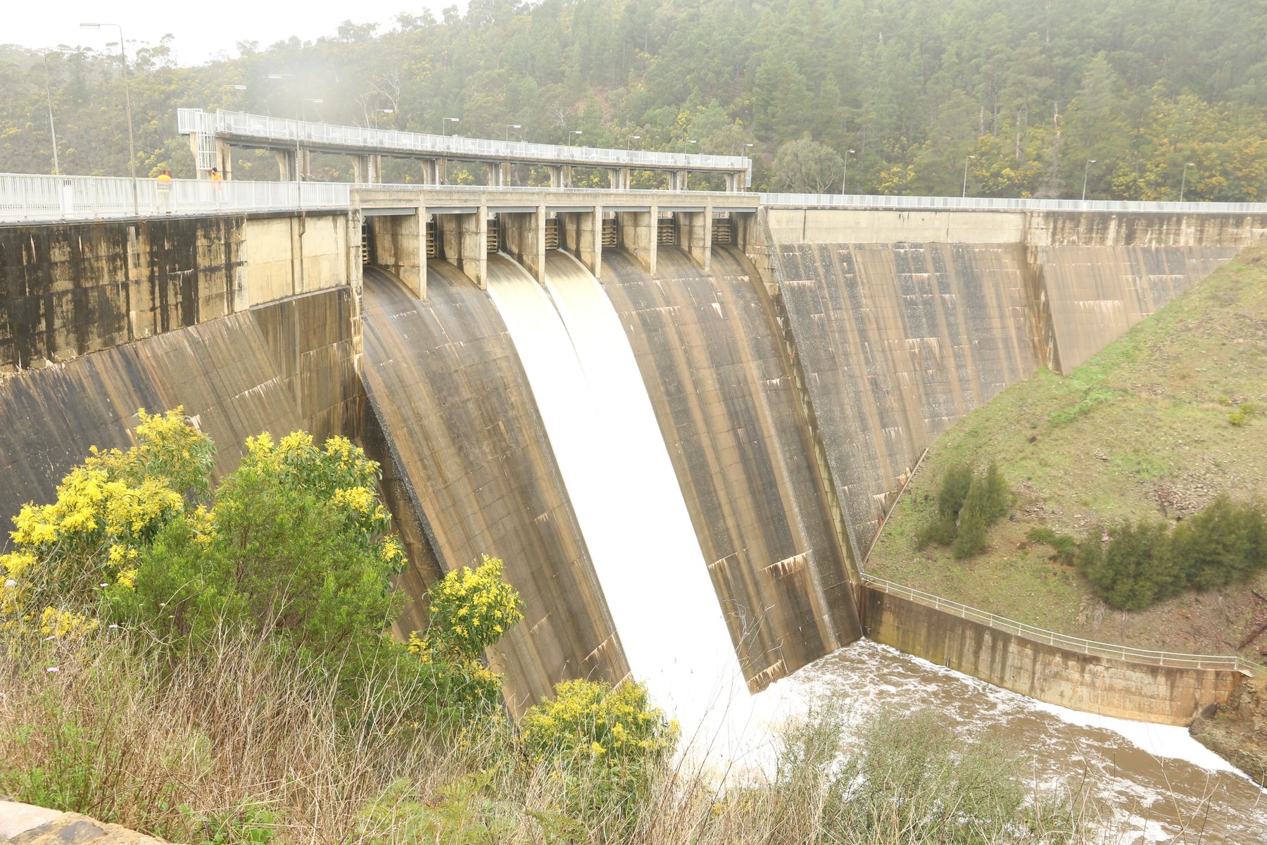 Qualifications - Water Training Australia